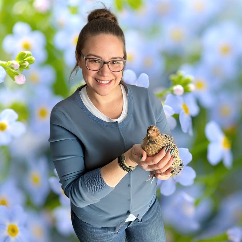 Quail Pen Setup: Space, Feeders, Water, and Comforts