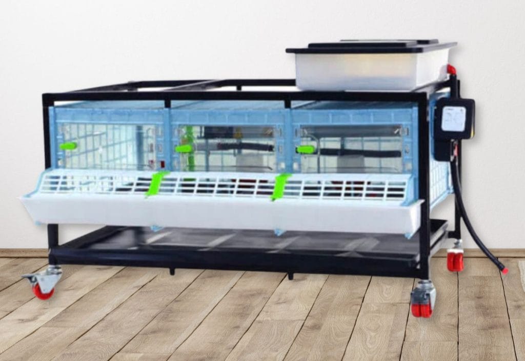 Is the Hatching Time Quail Brooder Worth It?